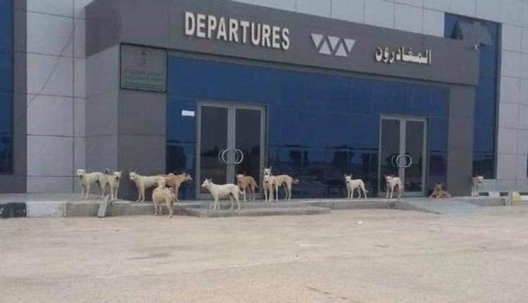 Al Ghaydah Airport is a living witness to absurdity of Saudi occupation ...